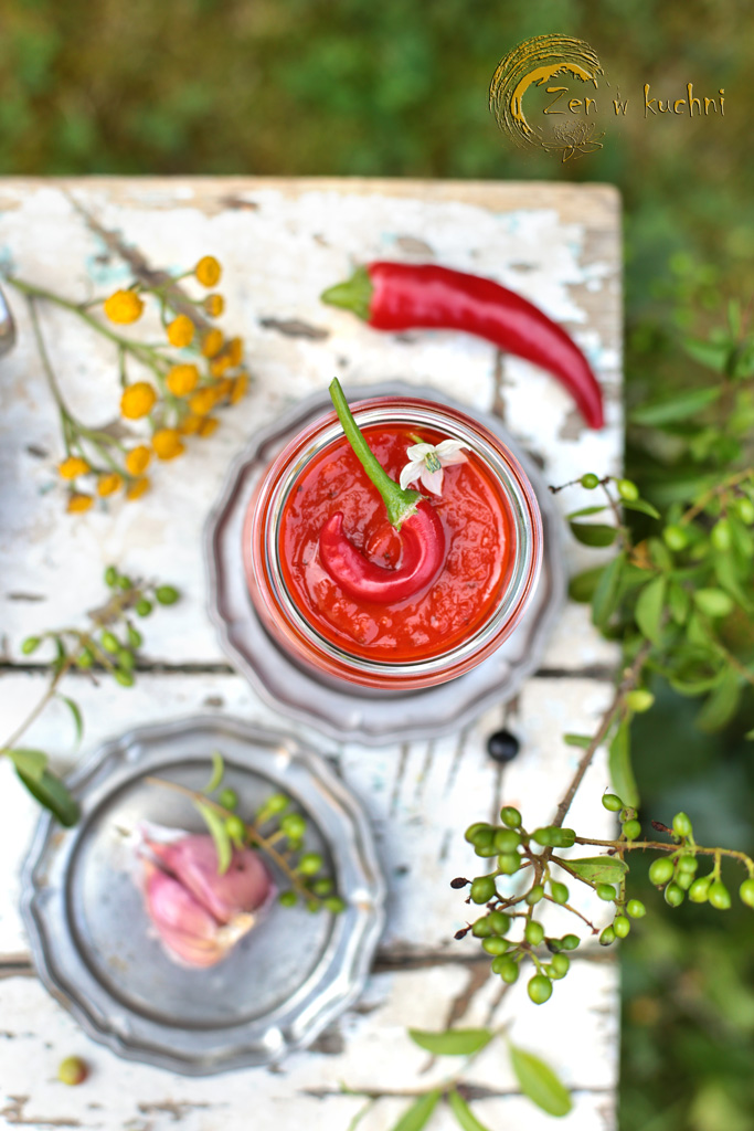 Ostry sos paprykowy - Zen w kuchni